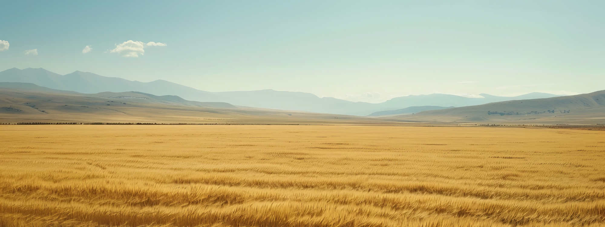 2024 Raw Materials Study: insights on commodity procurement | Inverto